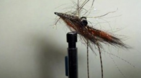 5 Best Flies for Winter Red Fishing on the Southeast Coast (Tides ...